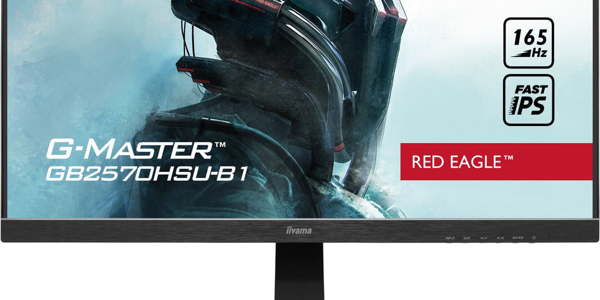 iiyama G-Master GB2570HSU-B1 24.5" Full HD 165Hz Gaming Monitor (Open ...